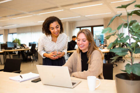 Contact | Human Capital Group